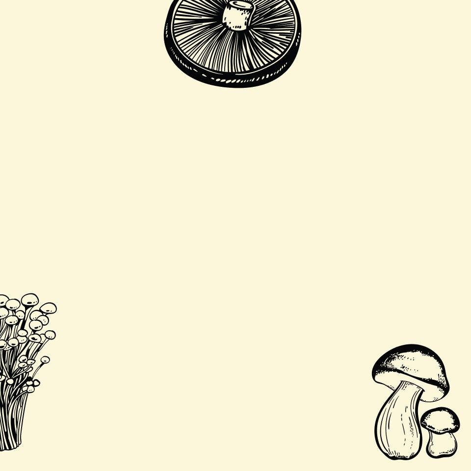 TIME WITH ANDY ANDERSON - SO29J101 | Swatch® Belgique